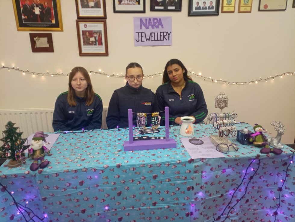 County final of the TY Student Enterprise Competition | St. Marys ...